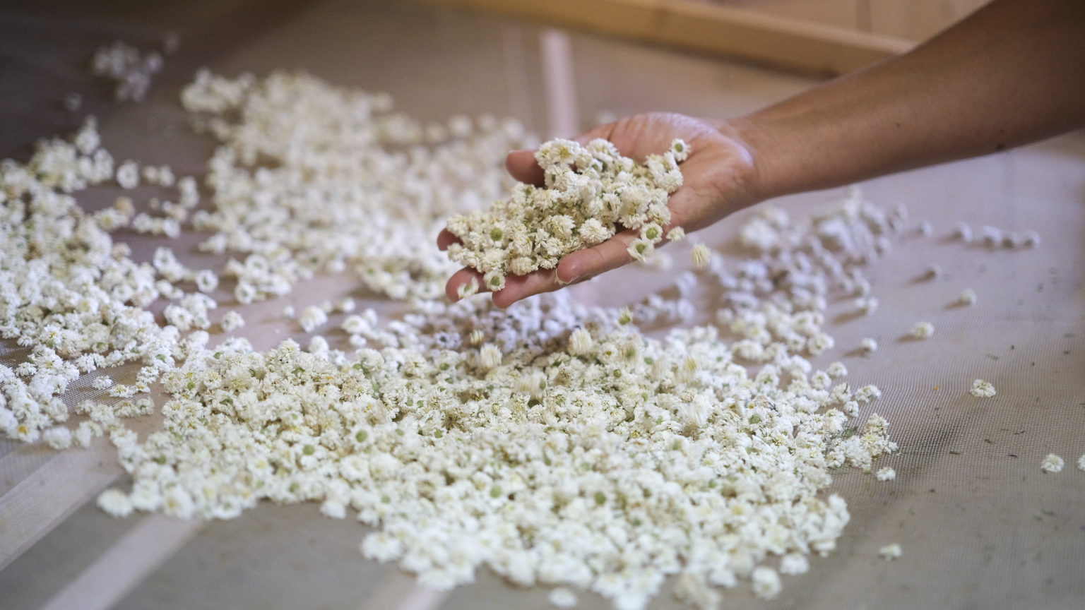 2023 JArdins de la Cure © Emmanuel Ligner (21) - visitez nos entreprises
